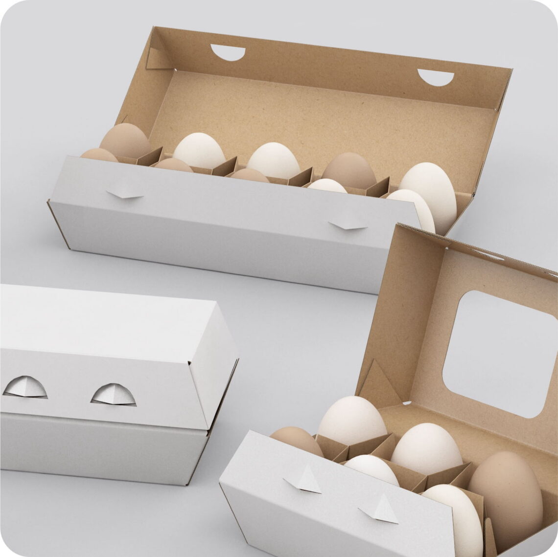 Das Unternehmen - Eggbox GmbH